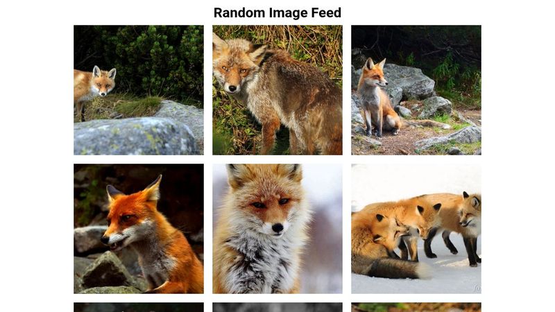 Image Grid - Gallery