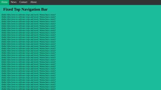Fixed Top Navigation Bar