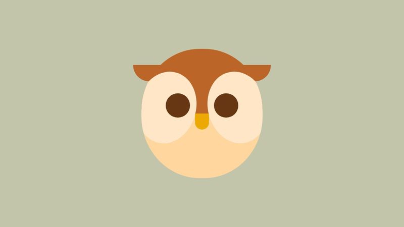 Pure CSS responsive owl