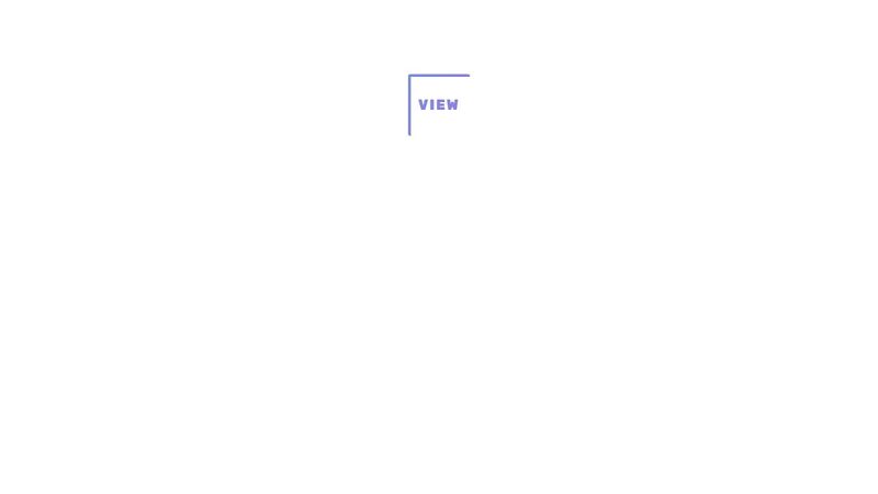 Pure CSS Button Animation