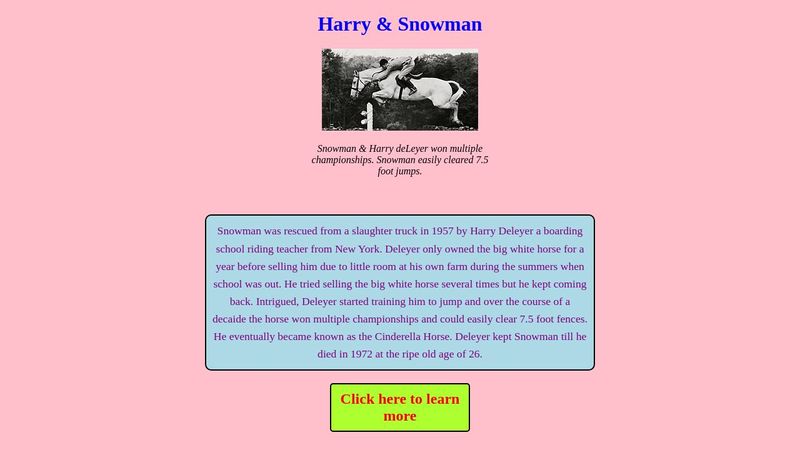 Snowman Tribute code project