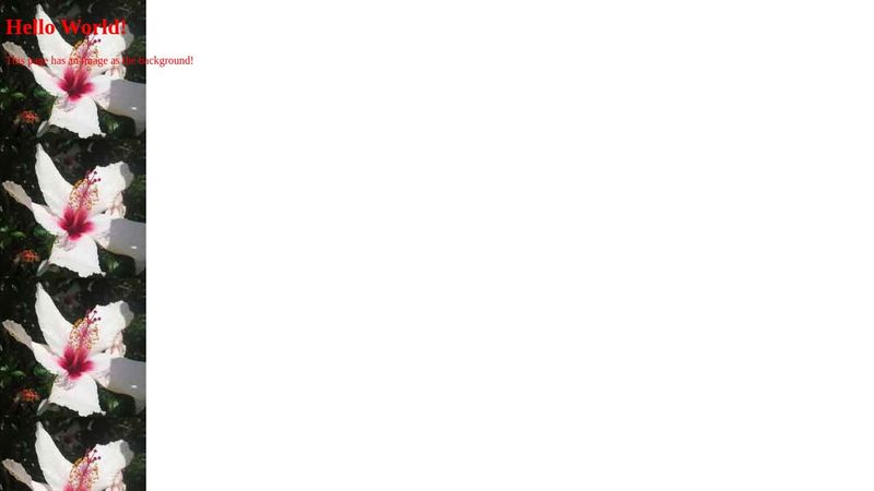 css background image no repeat