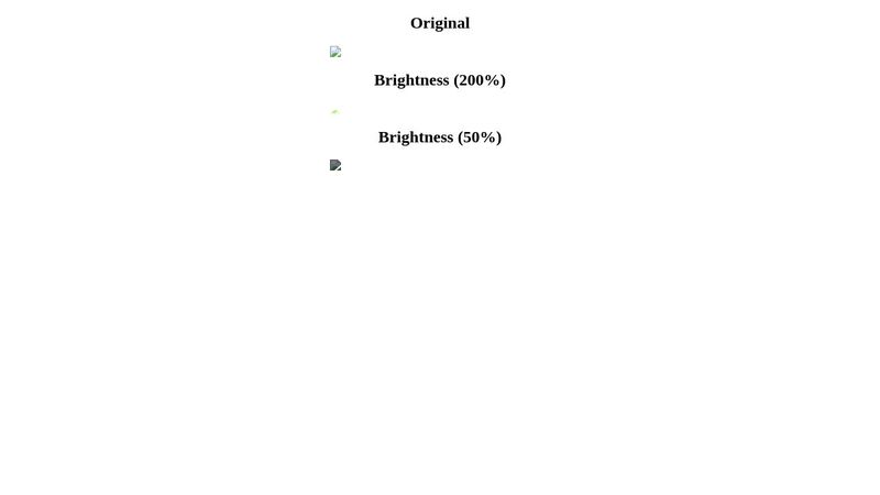 CSS Filter (Brightness)