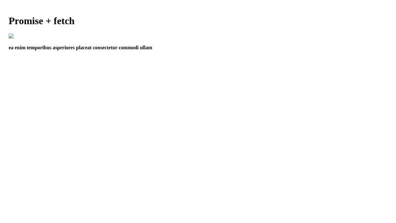 Promise + Fetch. Задание 3.