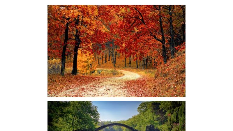 Lazy loading images using vanilla javaScript