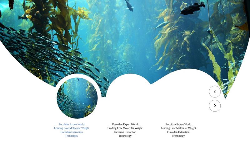 CodePen - A Pen by jay hsu