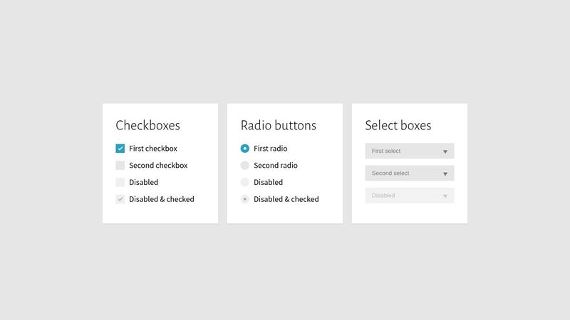 radio button sample