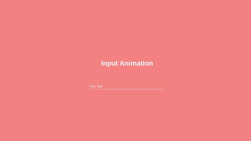 Input Animation CSS