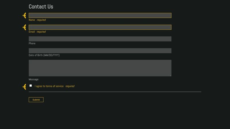 17_CSS_required_fields