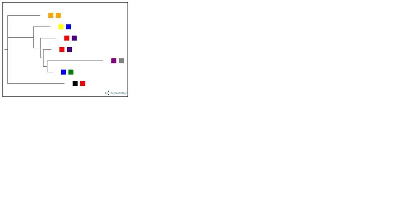 PHYLOCANVAS.GL Examples - Metadata Blocks