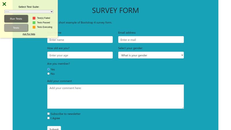 Responsive Web Design Projects - Build a Survey Form