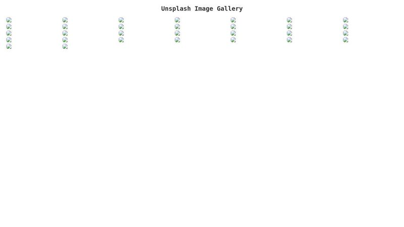 CSS Grid Image Gallery