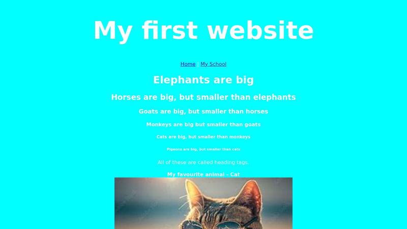 My First Website
