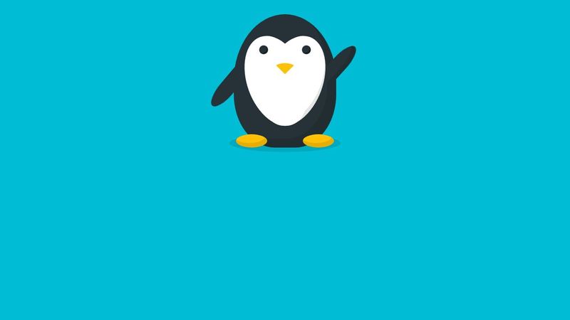 Penguin CSS Drawing