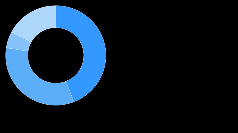 AngularJS & D3 - Donut Chart