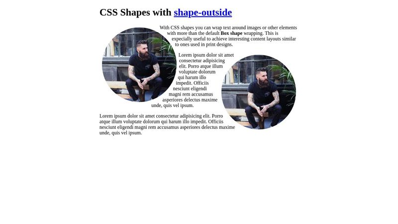 Demo Text Wrap Around Image demo-text-wrap-around-image