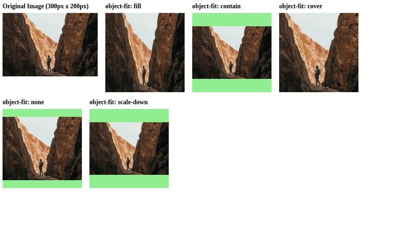 css object fit: object fit examples 1