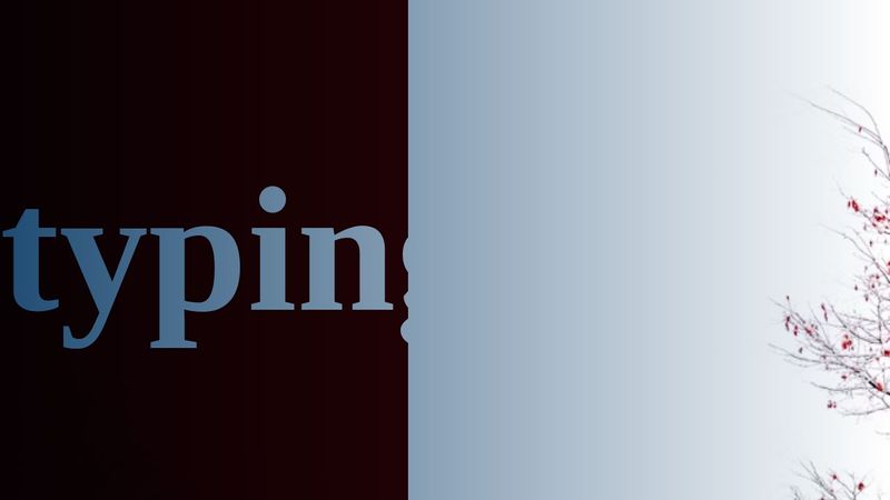 typing text animation CSS