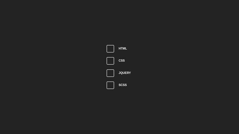 Custom checkbox css