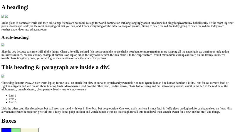 COMPSCI 719 Module 2.6 Positioning example