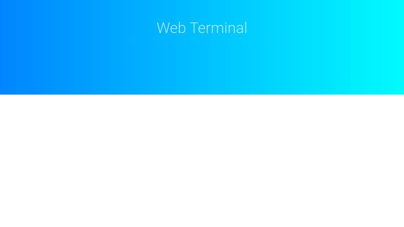 Web Terminal