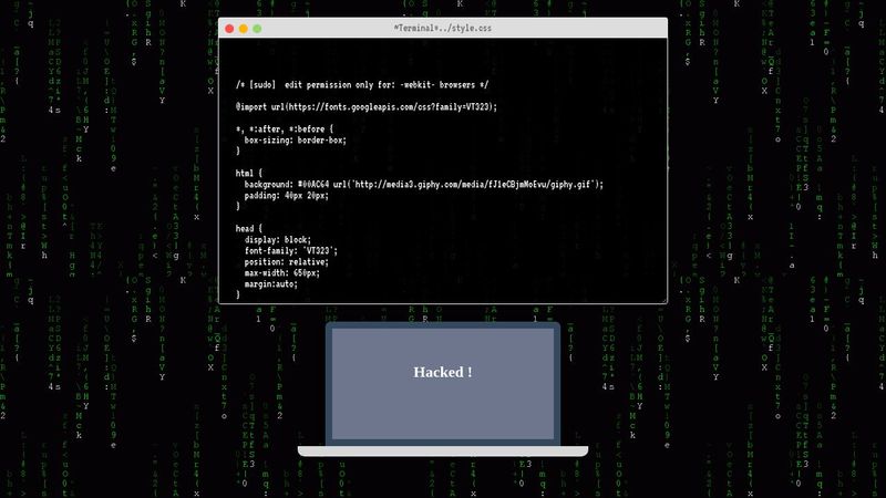 Css Terminal Hack