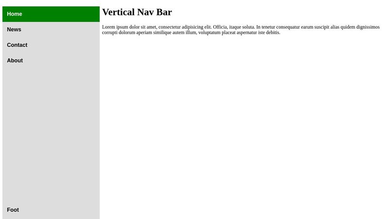 Simple Vertical Nav Bar with foot