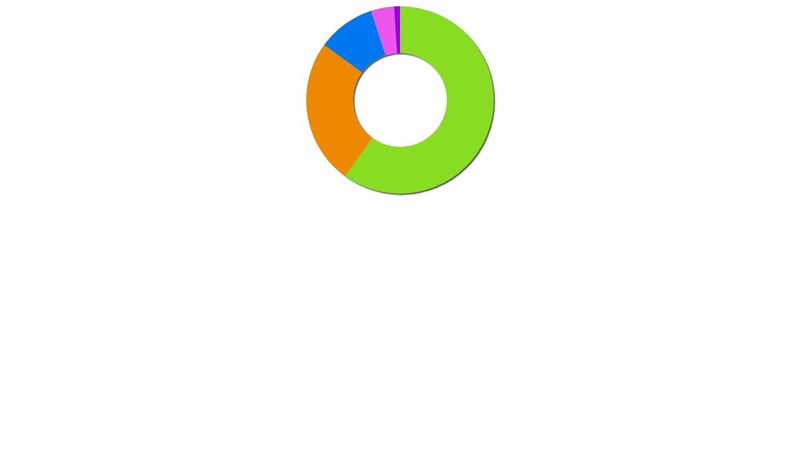 CSS Pie Chart