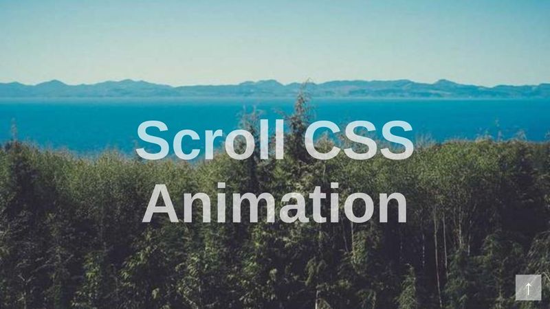 Scroll Fadein CSS Animation