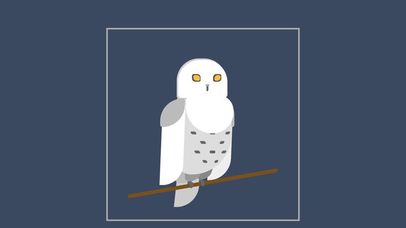 css animation: owl