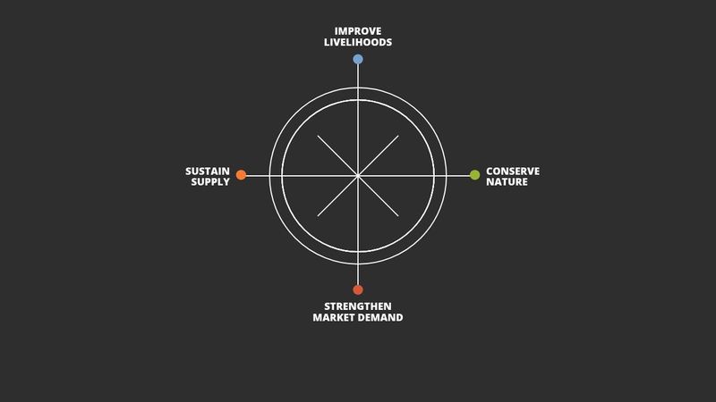 CSS Animated Compass