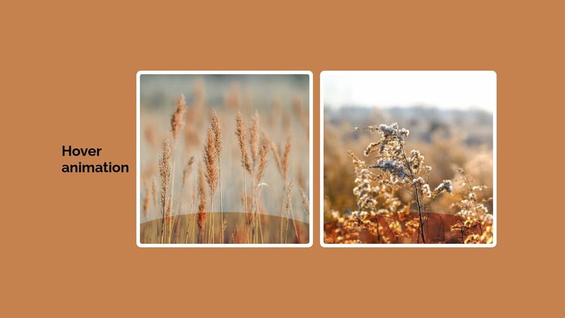 Hover Effect