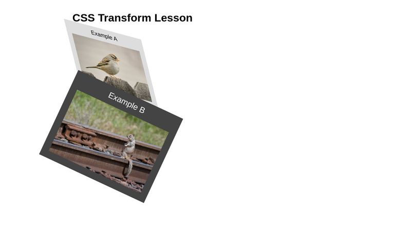 CSS Transform lesson