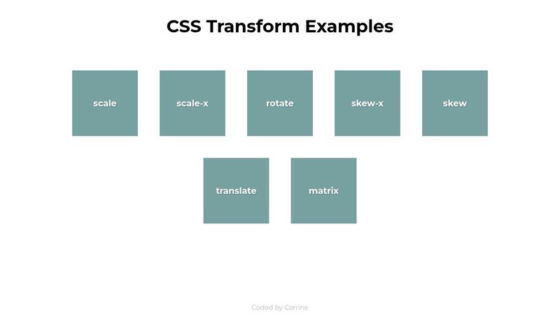 CSS Transform