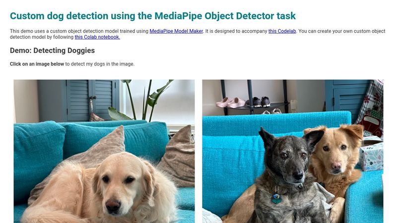 Starter Code - Object Detector Codelab
