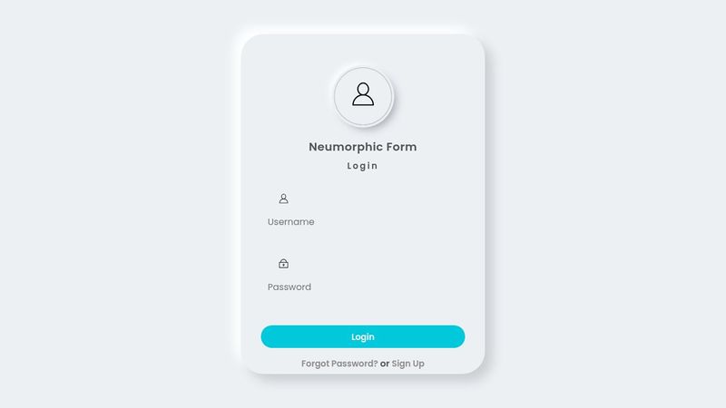 Neumorphic CSS Form