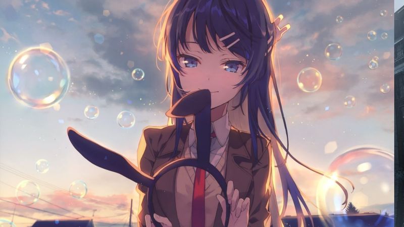 Animated Image Slider (Pure CSS)