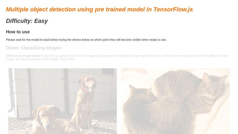 Multiple object detection using pre trained model in TensorFlow.js