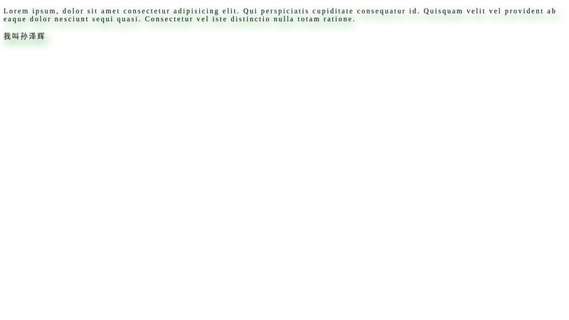 CodePen - A Pen by sunzehui