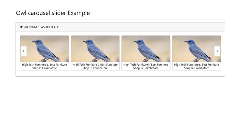 Owl carousel slider Example