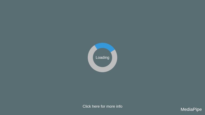 MediaPipe - Selfie Segmentation