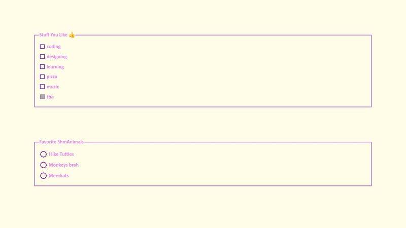 Custom Checkbox & Radio Inputs