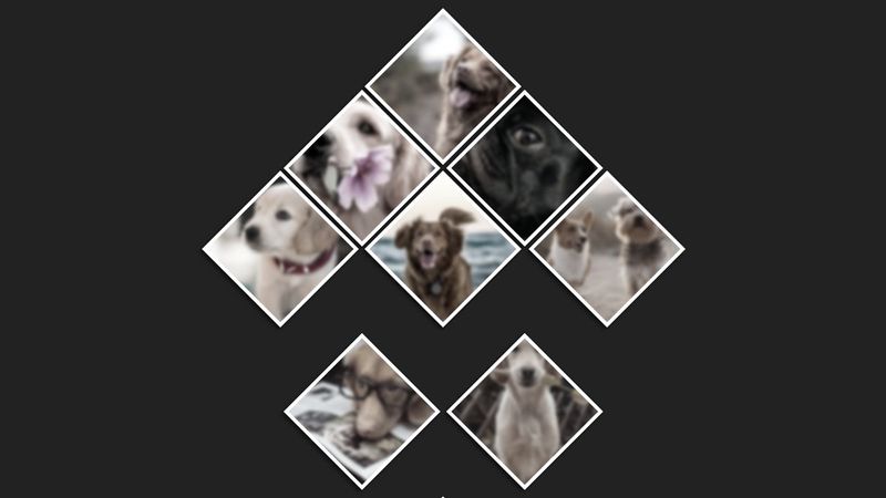 CodePen Challenge - January 2020 [week 3]