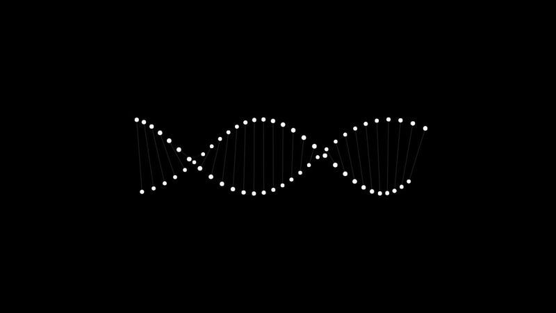 CSS DNA Animation