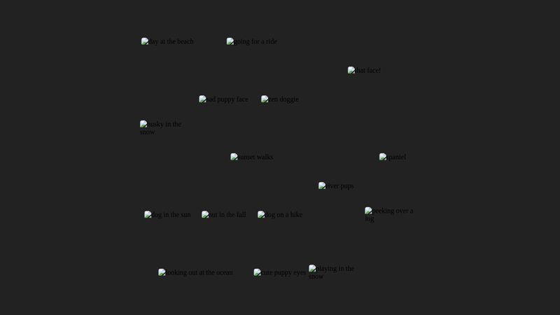 CSS Grid Image Gallery