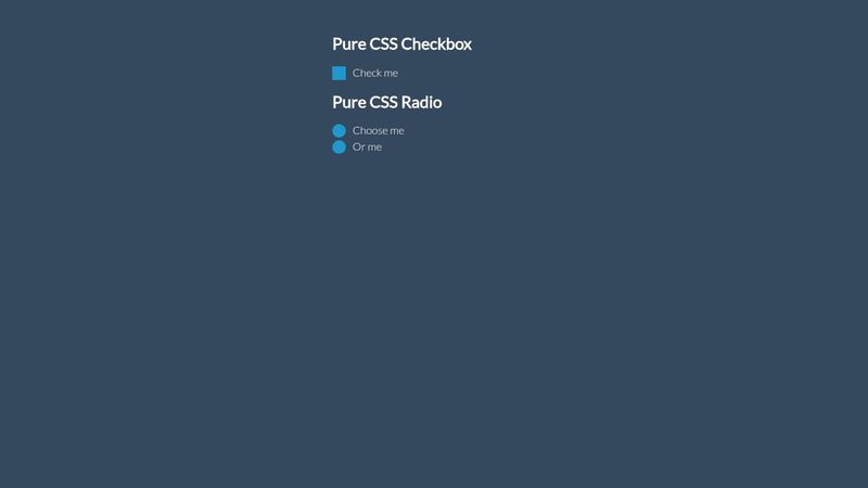 pure css checkbox & radio