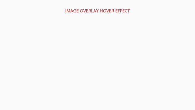 Image Overlay Hover Effect