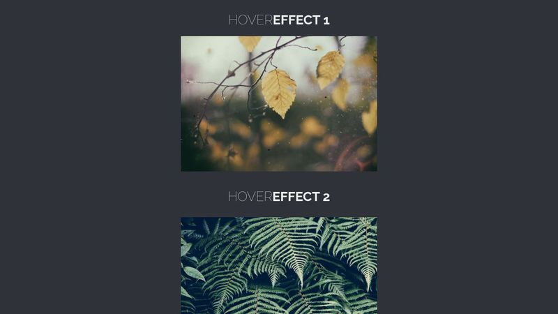 codepen-image-hover-effects