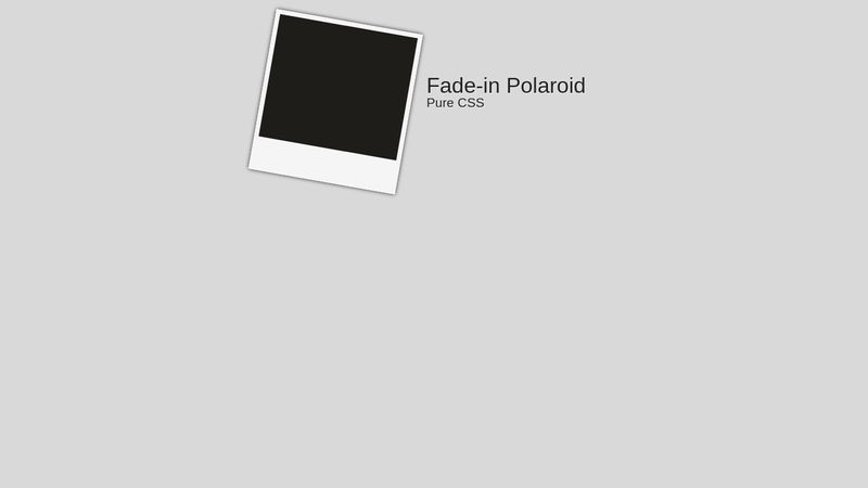 Polaroid Effect CSS Keyframes