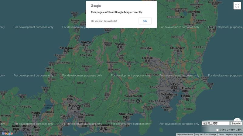 Google Maps JavaScript API v3 Test